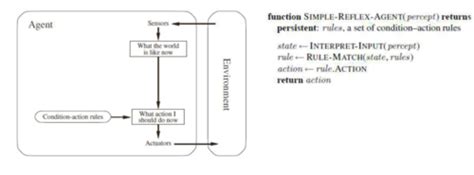 Cos 3751 Exam Prep Flashcards Quizlet