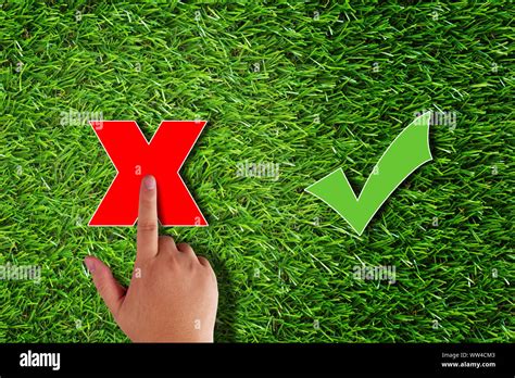 Red Cross Wrong Answer