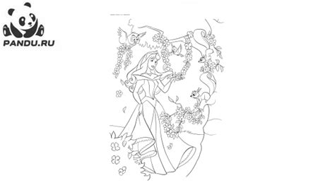 Раскраска Спящая красавица Принцесса Дисней Аврора