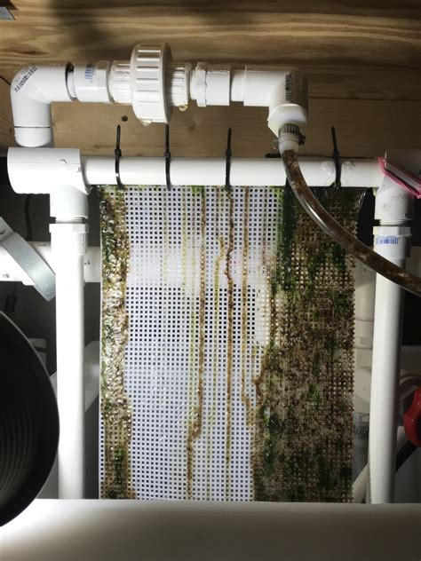 Diy Algae Reactor Reef2reef