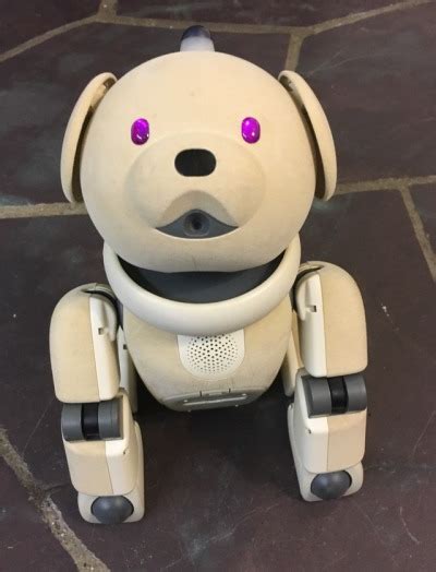 Say Hello To Mame Hes A Bluetooth Model Aibo So Tumbex
