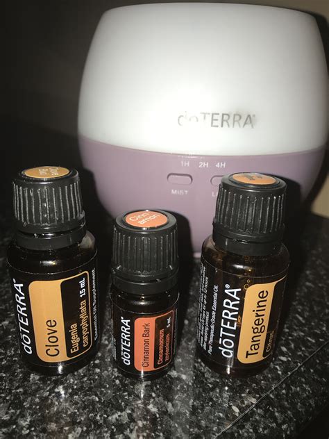 Fall Diffuser Blend