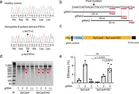 Pam Flexibility Of Spcas9 Ng In A Hemophilia B Patient Derived Ipsc A