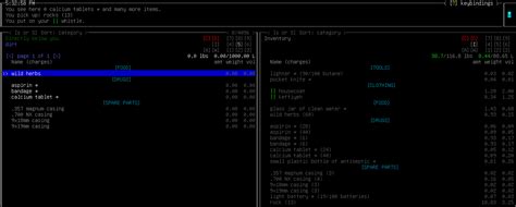 Bugged Items Giving Infinite Charges · Issue 44440 · Cleverravencataclysm Dda · Github