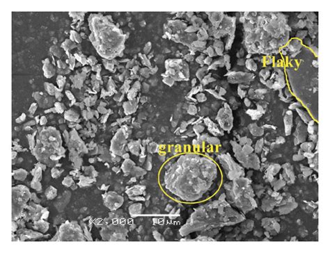 Micromorphology Of The Coal Gangue Sample And Under Different Meshes Download Scientific