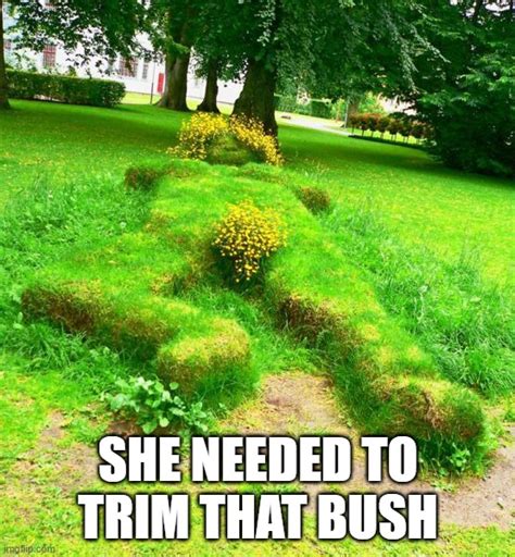 Trim Bush Joke At Scott Paramore Blog