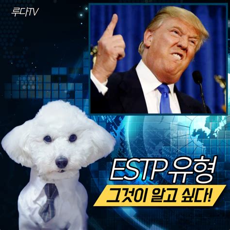 Estp특징 팩폭 엣팁 연애 스타일 총정리 네이버 블로그