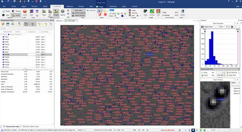 Smart Count — Media Cybernetics Image Analysis Forums