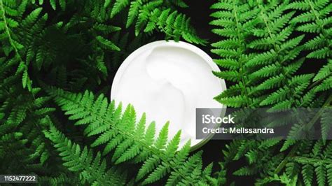 숲 나물 펀의 배경에 얼굴 크림의 흰 항아리 어두운 빛 평면도 평평한 누워 컨셉의 천연 화장품 보습제에 대한 스톡 사진 및 기타 이미지 Istock