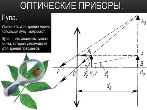 Глаз и оптические приборы презентация онлайн