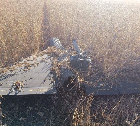 Прикордонники зі стрілецької зброї збили ворожий “Шахед” на Сумщині ФОТО Хронікерс