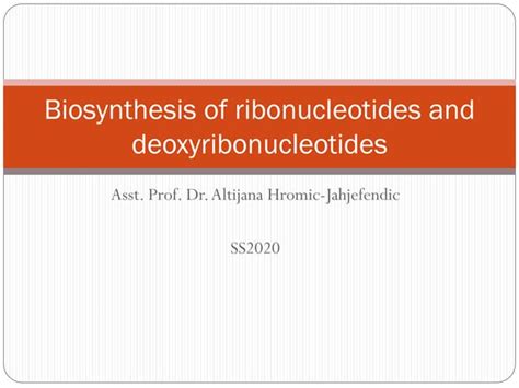 Biosynthesis Of Ribonucleotides And Deoxyribonucleotides Pdf