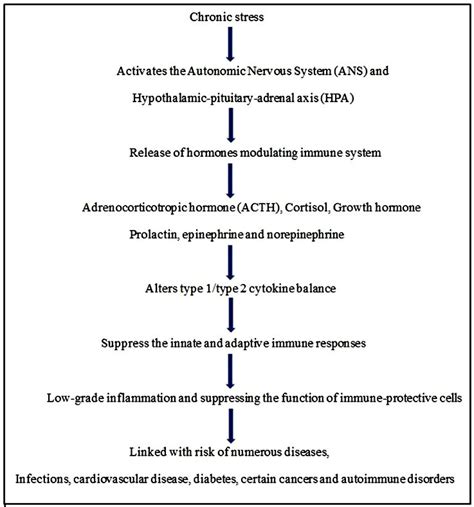 stress flow chart