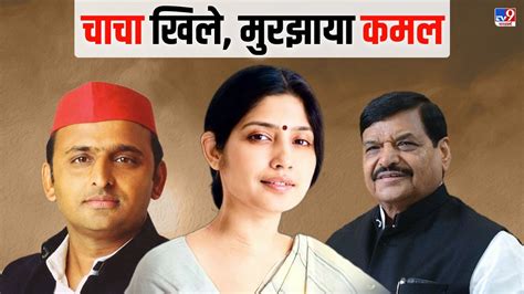 मैनपुरी में डिंपल यादव की शानदार जीत कमाल कर गई चाचा और भतीजी की