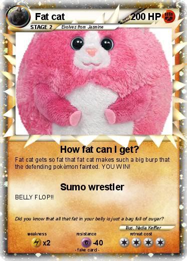 Pokémon Fat Cat 295 295 How Fat Can I Get My Pokemon Card
