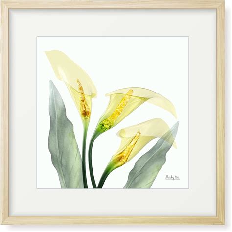 Jp 絵画「ピンク色のバラ」インテリア 絵 花 アートパネル 額入り縦32cm X 横32cm ホーム＆キッチン