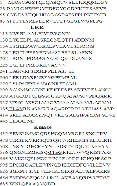 Deduced Amino Acid Sequence Of The XET5B11 ORF Encoded Protein The LRR