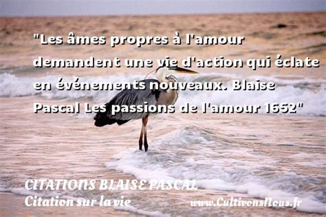 27 Citation Pascal Amour