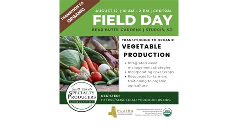 Field Day To Focus On Weed Management In Organic Vegetable Production