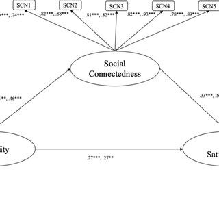 Multigroup Structural Equation Model Note Results Were Controlled For