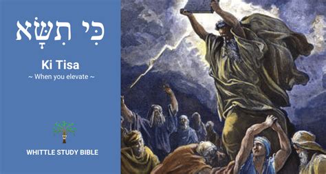 Parsha Ki Tisa - Whittle Study Bible