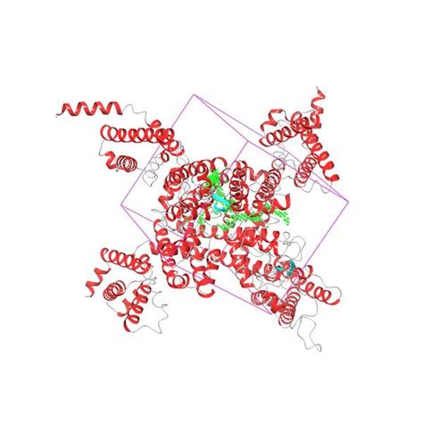 分子动力学 知乎