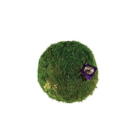 Moss Ball 4