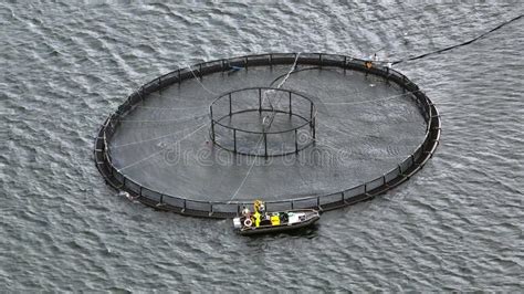 Sea Farm Aquaculture Nets In The Ocean Used For Intensive Fish Farming