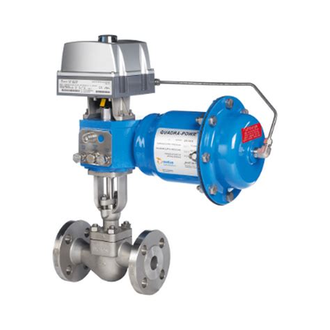 Globe Valve Neles At Bill Obando Blog