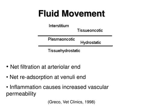 Ppt Fluid Therapy Powerpoint Presentation Free Download Id 142396