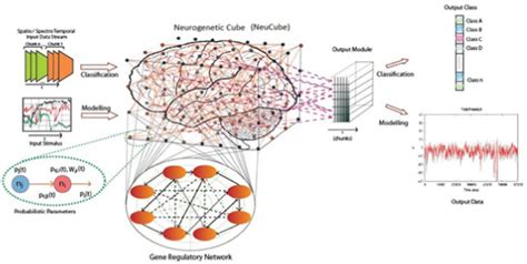 The Neucube Architecture With Its Three Main Modules Input Data Download Scientific Diagram