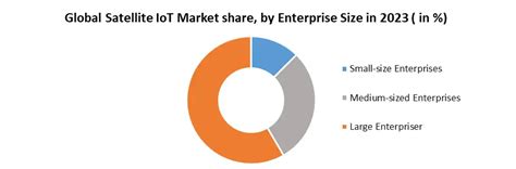 Satellite IoT Market Leading Segment Large Enterprise