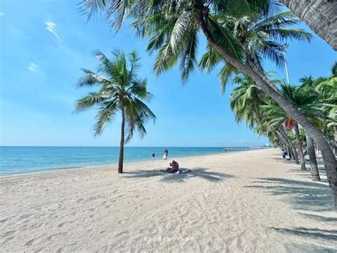 กรุงเทพฯ วันนี้ ชายหาดบางแสน ในวันที่ไม่มีร่ม เตียงผ้าใบ