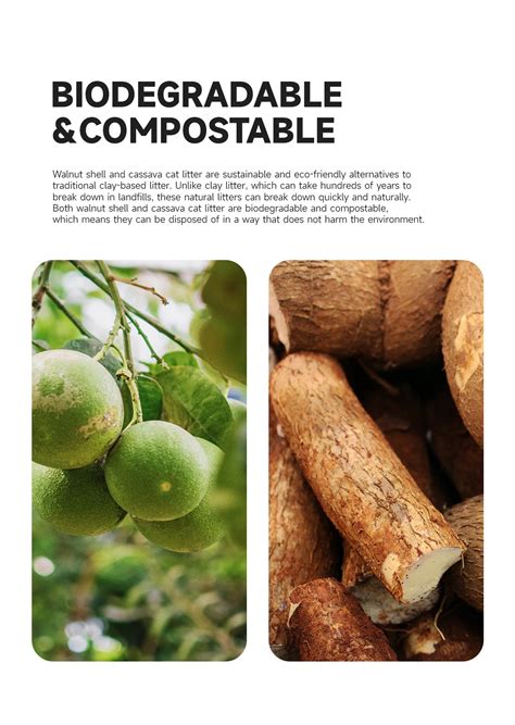 Zodiac Natural Way Walnut Shell And Cassava Cat Litter 6kg