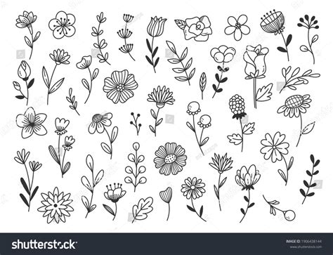 Hand Drawn Flower Branches Doodle Stock Vector Royalty Free