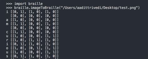 Braille Library Devpost