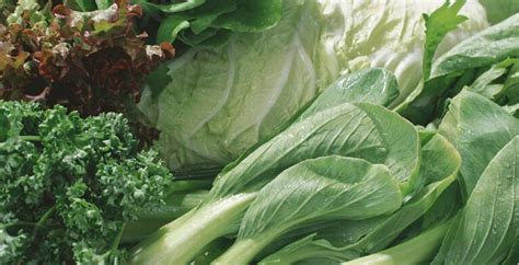 La Oms Advierte Del Riesgo De Deficiencia De Iodo Por Dieta Basada En
