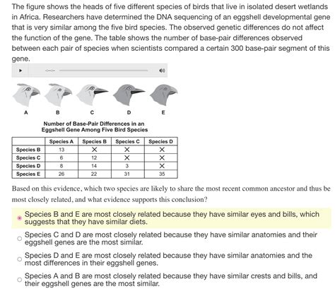 The Figure Shows The Heads Of Five Different Species Of Birds That Live In Isolated Desert
