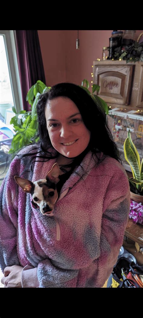 gemini is a cuddle bug🫂🩷 r toyfoxterriers