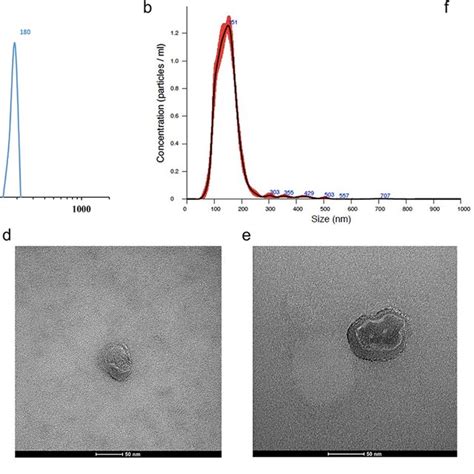 Biophysical Characterization Of Hr Derived Evs A Evs Size Distribution