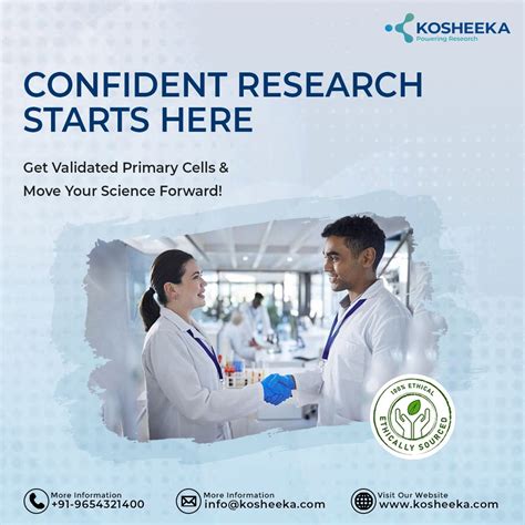 Primarycells Cellculture Kosheeka Research Biotechnology Kosheeka