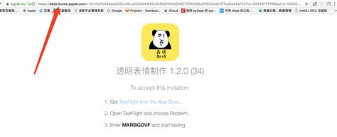 Testflight使用，以及如何点击链接参与内测appdev申请testflight Url在哪查看 Csdn博客