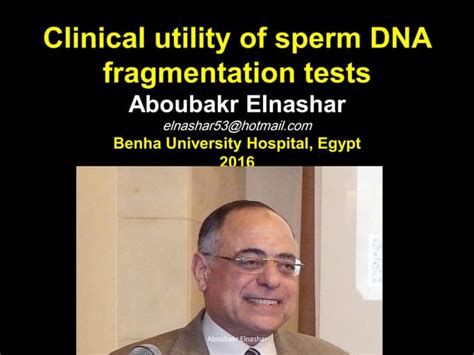 Clinical Utility Of Sperm Dna Fragmentation Tests 2016 Pdf Infertility Reproductive Health