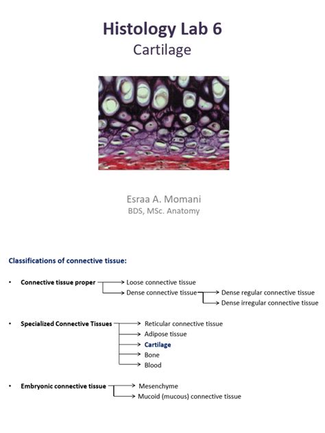 Lab 6 1 Pdf