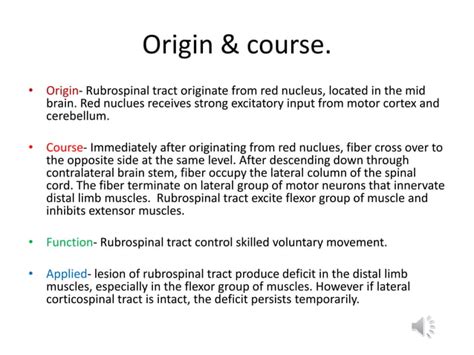 All About Upper Motor Neuron Lesion Pptx