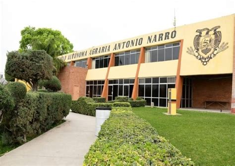 Mejores Universidades Para Estudiar Criminología En México 2025