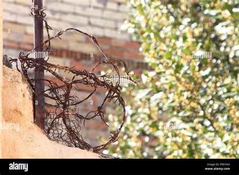 Detail Of Post Rusty Barbed Wire Stock Photo Alamy