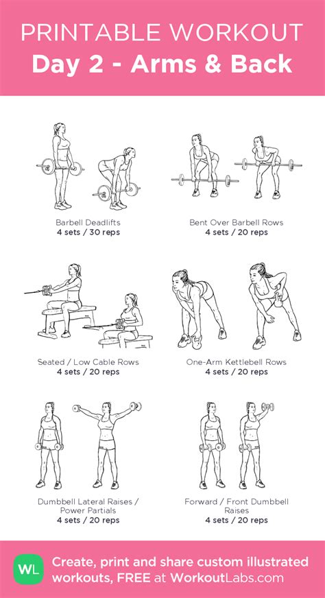 Toned Arms And Back Workout