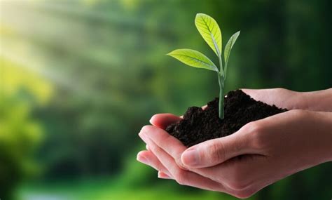 Día Del Medio Ambiente Cinco Tips Para Un Cambio Sostenible En Las
