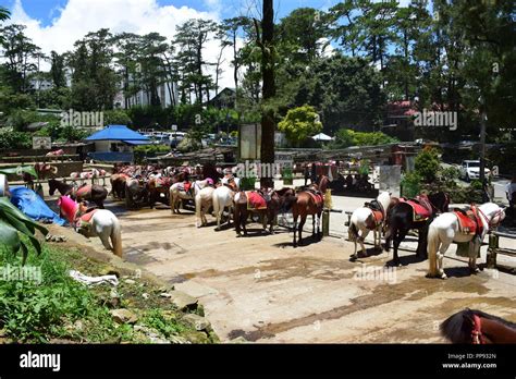 Horseback Riding at the Wright Park is one of the many scenic parts of Baguio. Wright Park is ...